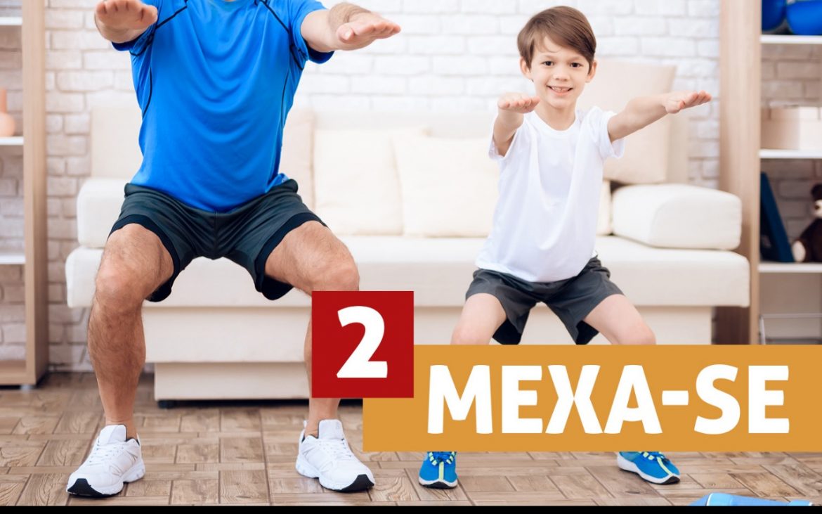 MEXA SE - Sindjus/RS